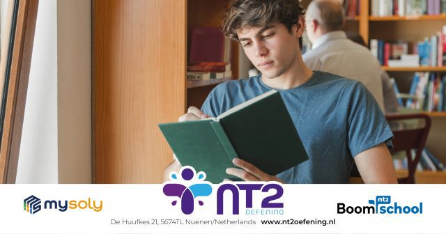 Mastering Dutch Reading